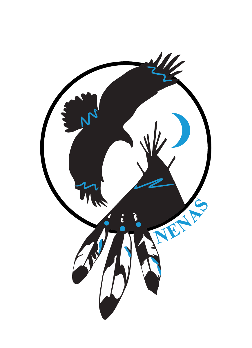 Nenas Sponsorship Application Nenas